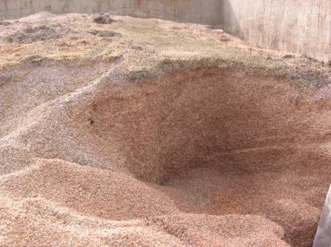 Cargo Damage from Wetting, Sweat and Moisture Migration